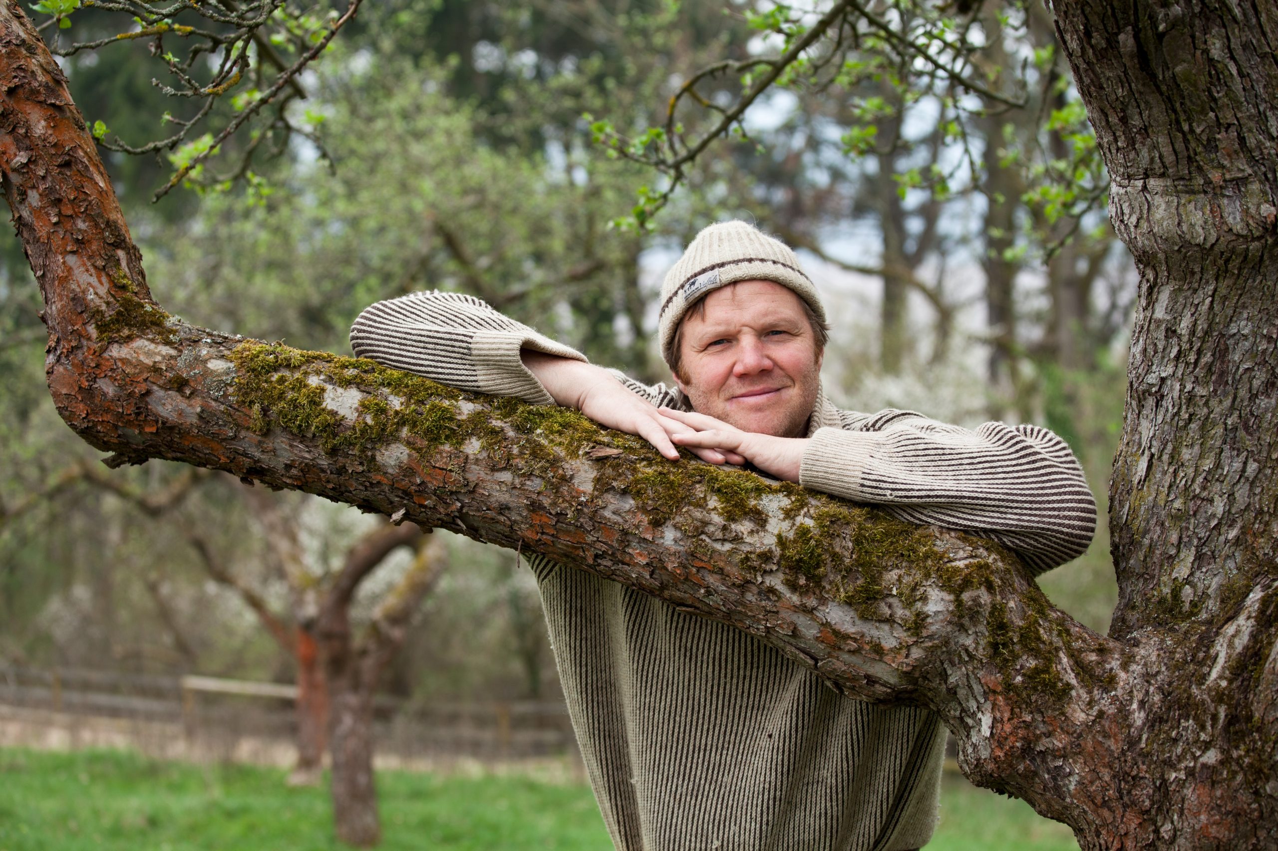 Praxisbuch Obstbaumschnitt – Schritt für Schritt von Michael Grolm ...